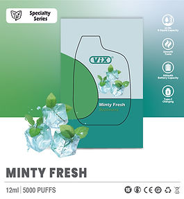 ViX DISPOSABLE | VIX MIST