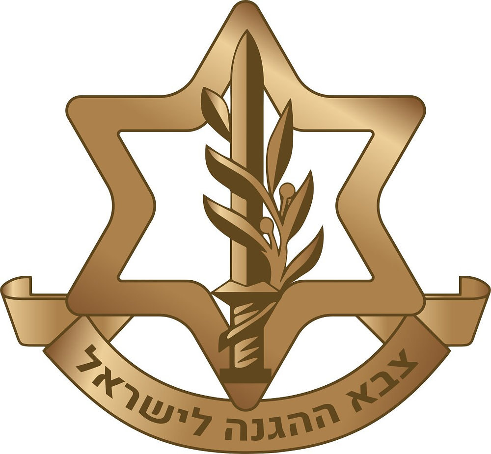 OPERATION SWORDS OF IRON: ISRAEL’S DEFENSE FORCES RETALIATE IN GAZA