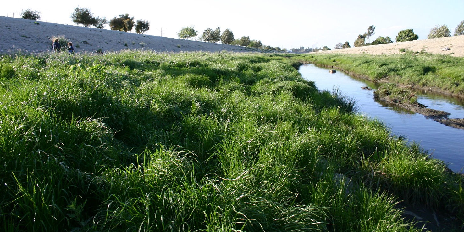 CWH | Healthy Watersheds | Los Angeles | Council for Watershed Health