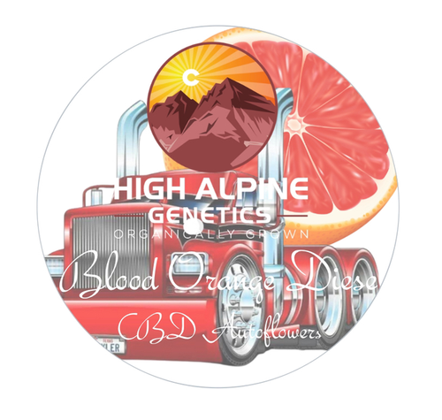 Blood Orange Diesel Autoflower F3 - 5 Seeds | Texan Hemp