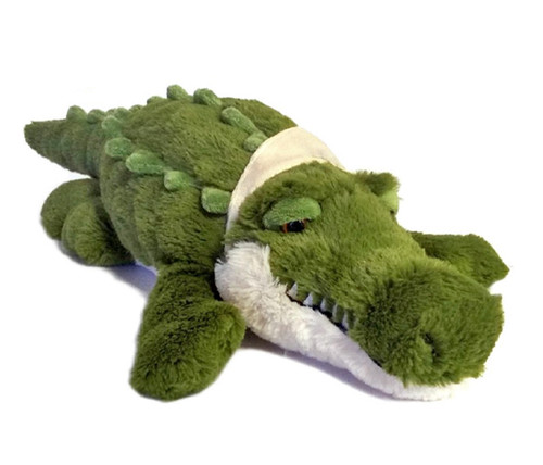 Green Croc (Various Sizes) | ASM Eclipse
