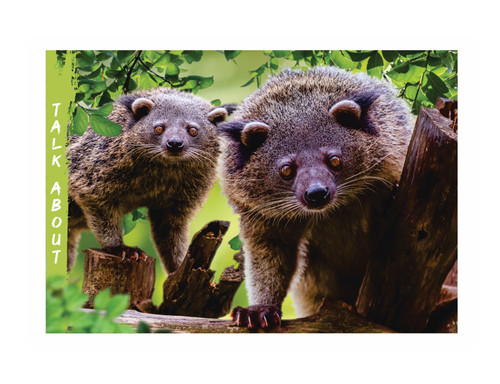 Talk About Card - Binturongs | ASM Eclipse