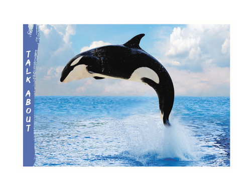 Talk About Card - Orca | ASM Eclipse