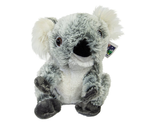 Katie Koala - 20cm | ASM Eclipse
