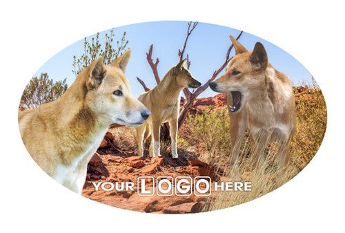 3D Oval Sticker - Outback Dingoes | ASM Eclipse