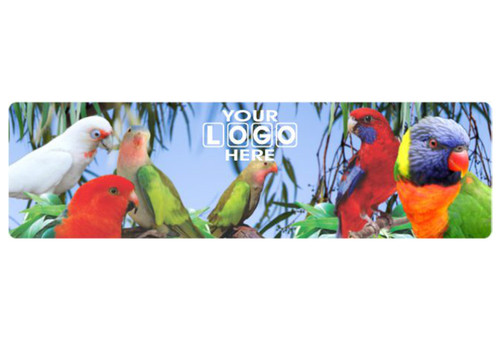 3D Bumper Sticker - Parrots | ASM Eclipse