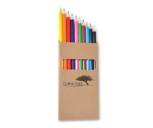 Full Length Colouring Pencils | ASM Eclipse