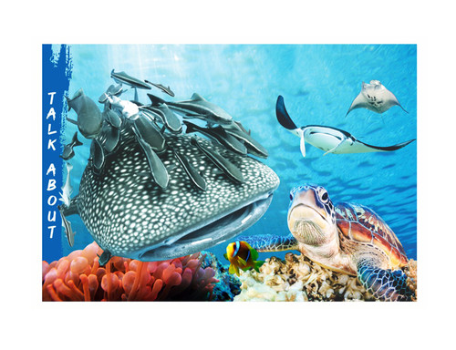 Talk About Card - Whale Shark | ASM Eclipse