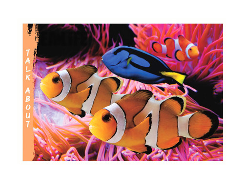 Talk About Cards | ASM Eclipse