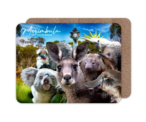 Cork Backed Placemat | ASM Eclipse