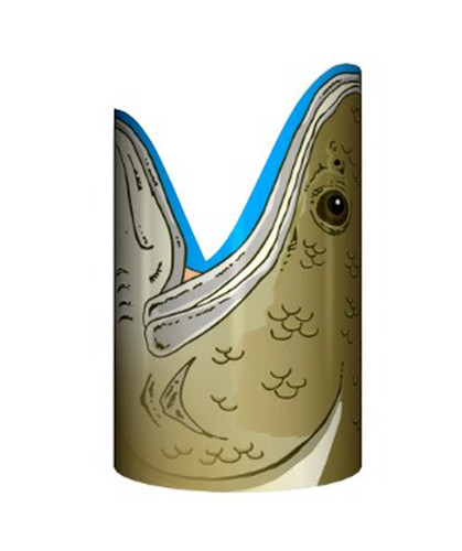 Shaped Stubby Holders - Open Mouth Barramundi | ASM Eclipse