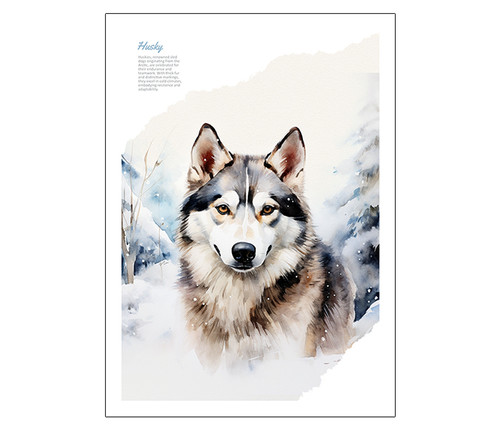 Husky in Snow - Cotton Tea Towel | ASM Eclipse