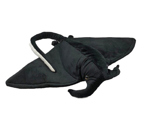 Manta Ray - 60cm | ASM Eclipse