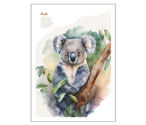 Koala - Cotton Tea Towel | ASM Eclipse
