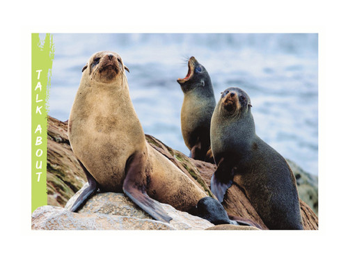 Talk About Card - Seals | ASM Eclipse