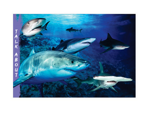 Talk About Card - Shark Montage | ASM Eclipse