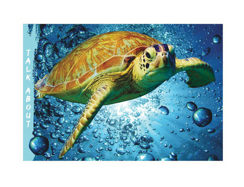 Talk About Card - Turtle | ASM Eclipse