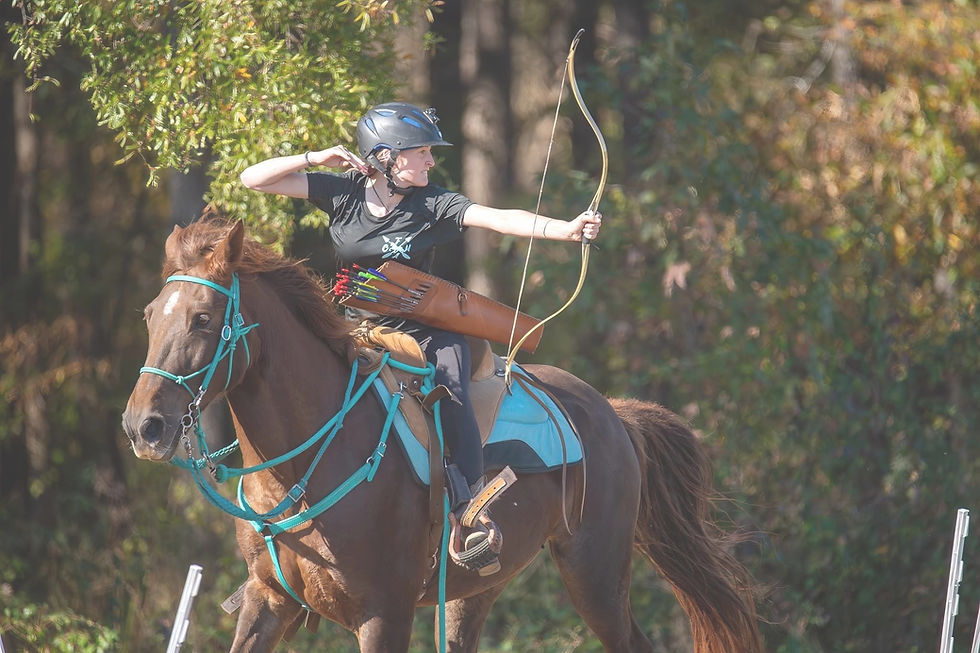 Horseback Archery | Mounted Archery Association of the Americas