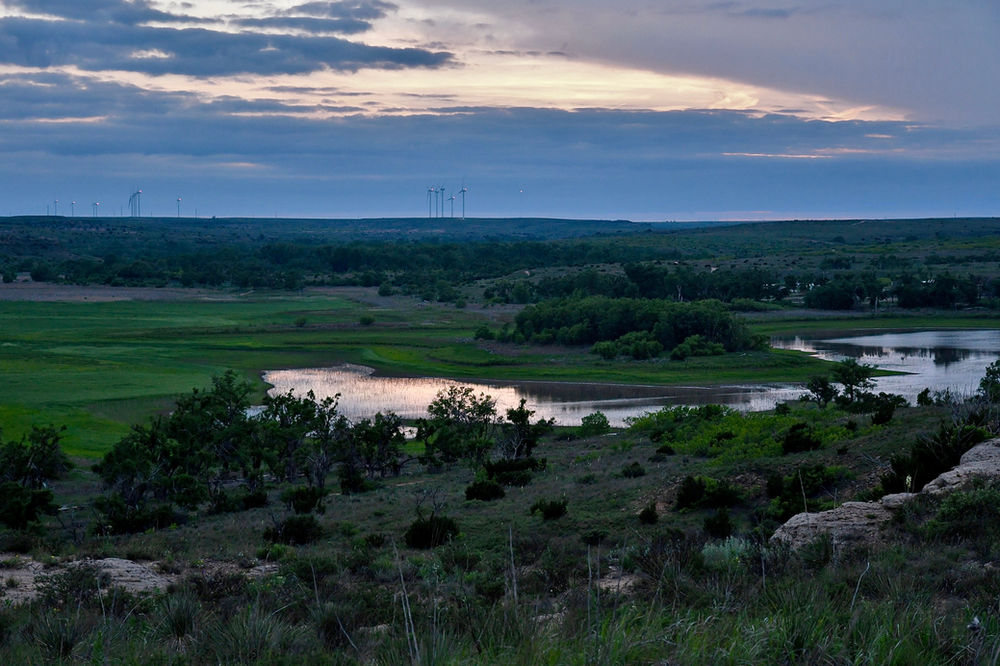 McClellan Lake Birding and Camping