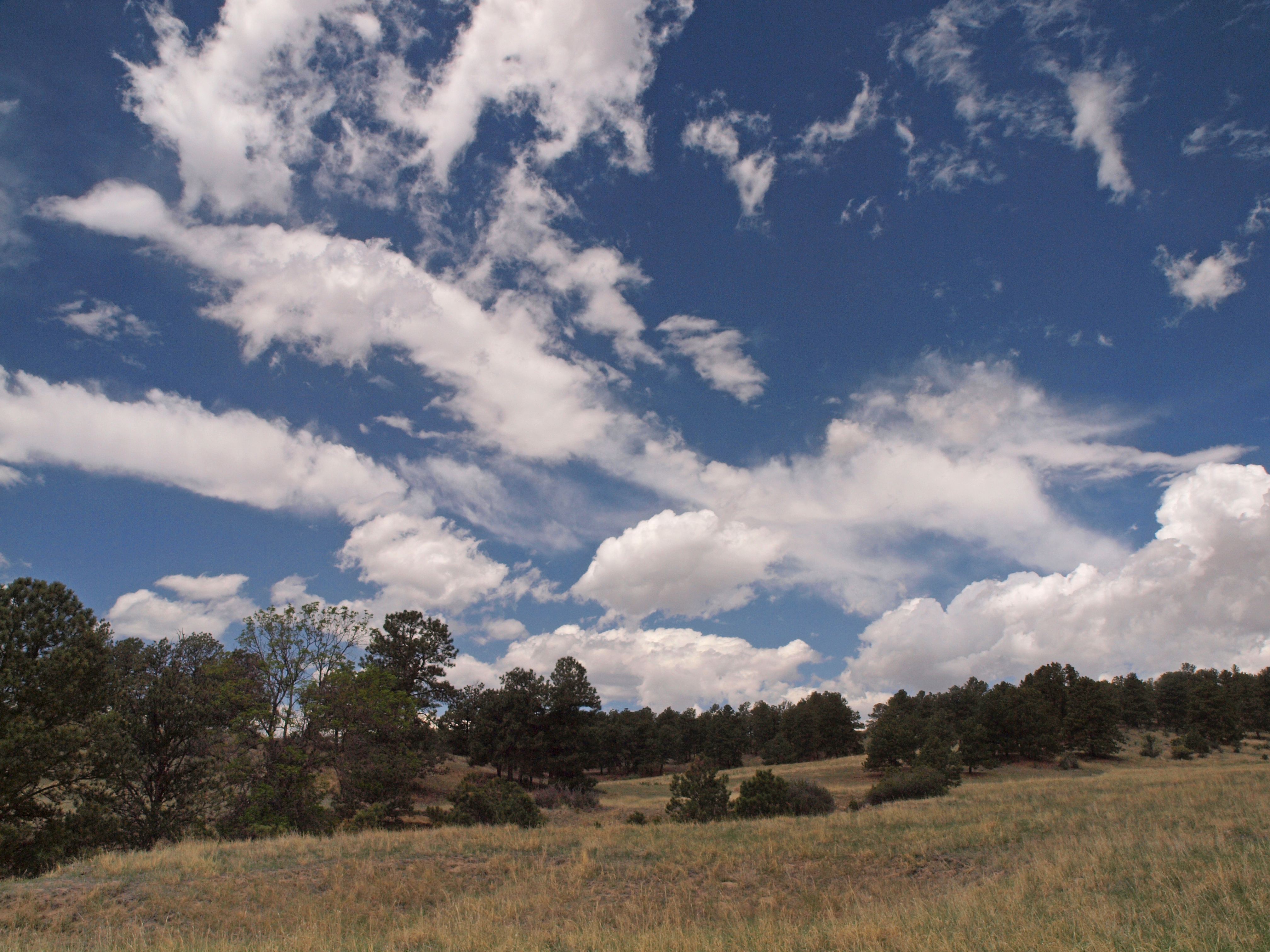 Corral Bluffs Open Space and Jimmy Camp, Colorado Springs