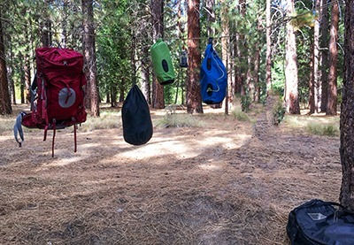 How to Hang a Bear Bag | Niagara Adventure Club