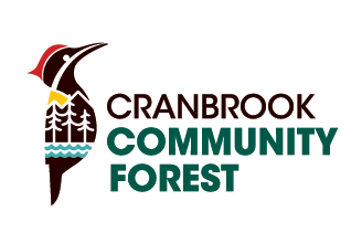 Cranbrook Community Forest - Over 100KM of Trails to Explore