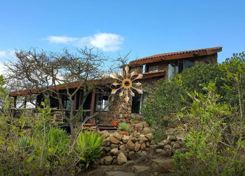 Enkaji Osiwo, Champagne Ridge | Holiday Link Collection