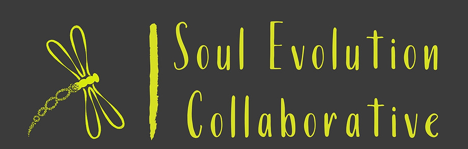 Home | SoulEvolutionCollab