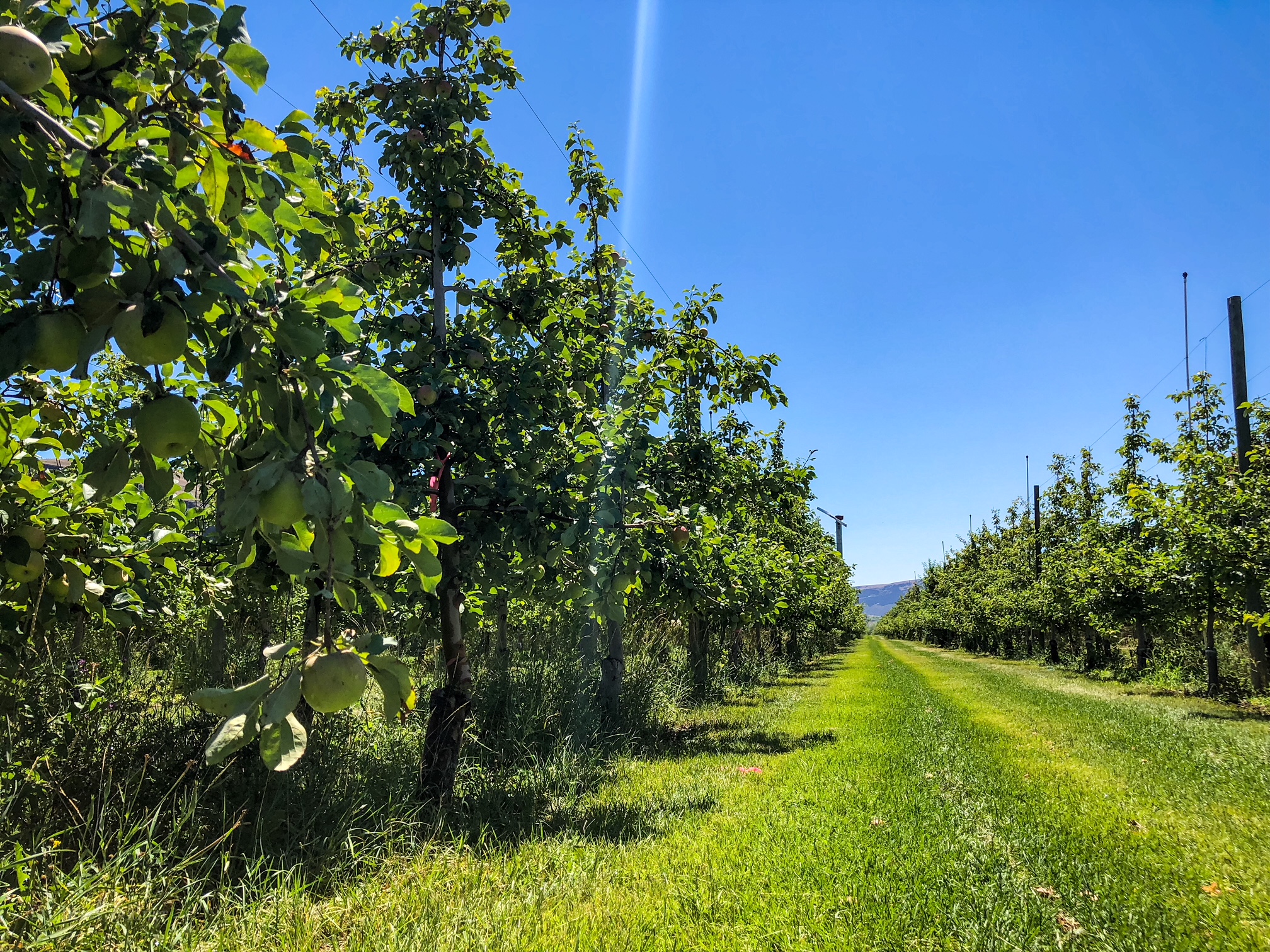 Zirkle Fruit Company