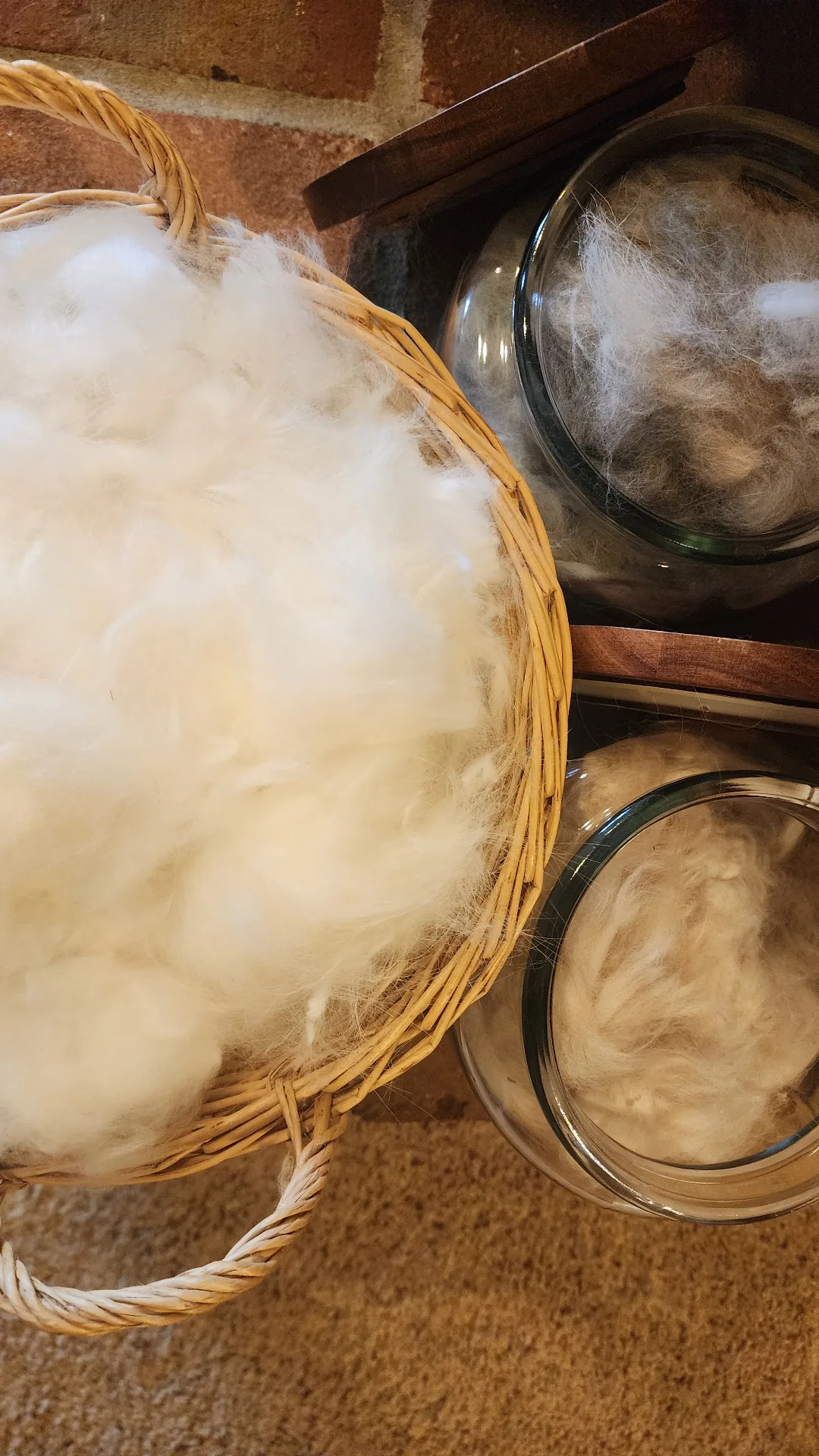 Angora Fiber | Tail Spin Farm