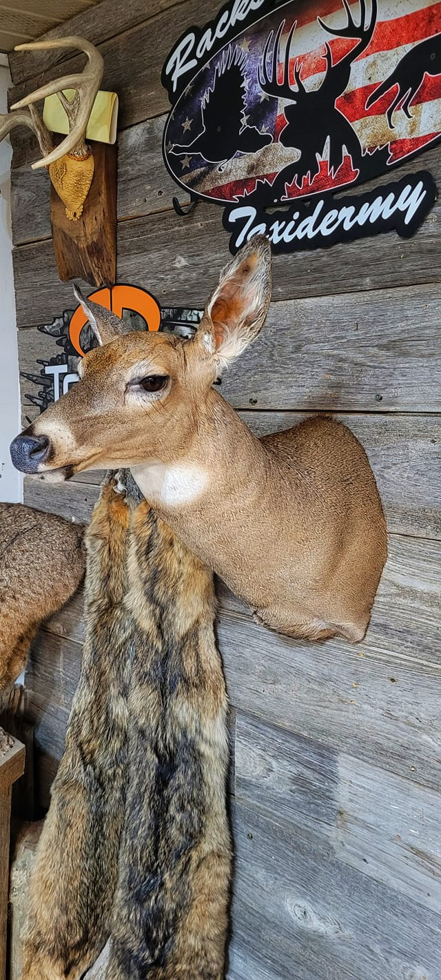 Racks N Tracks at Ryan Mcgovern blog