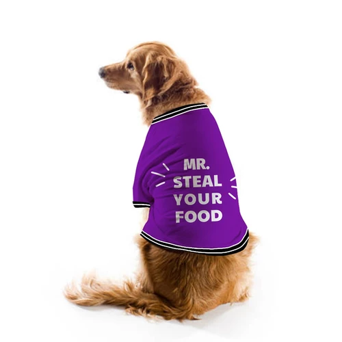 Mr Steal Your Food | FourPaws Clinic