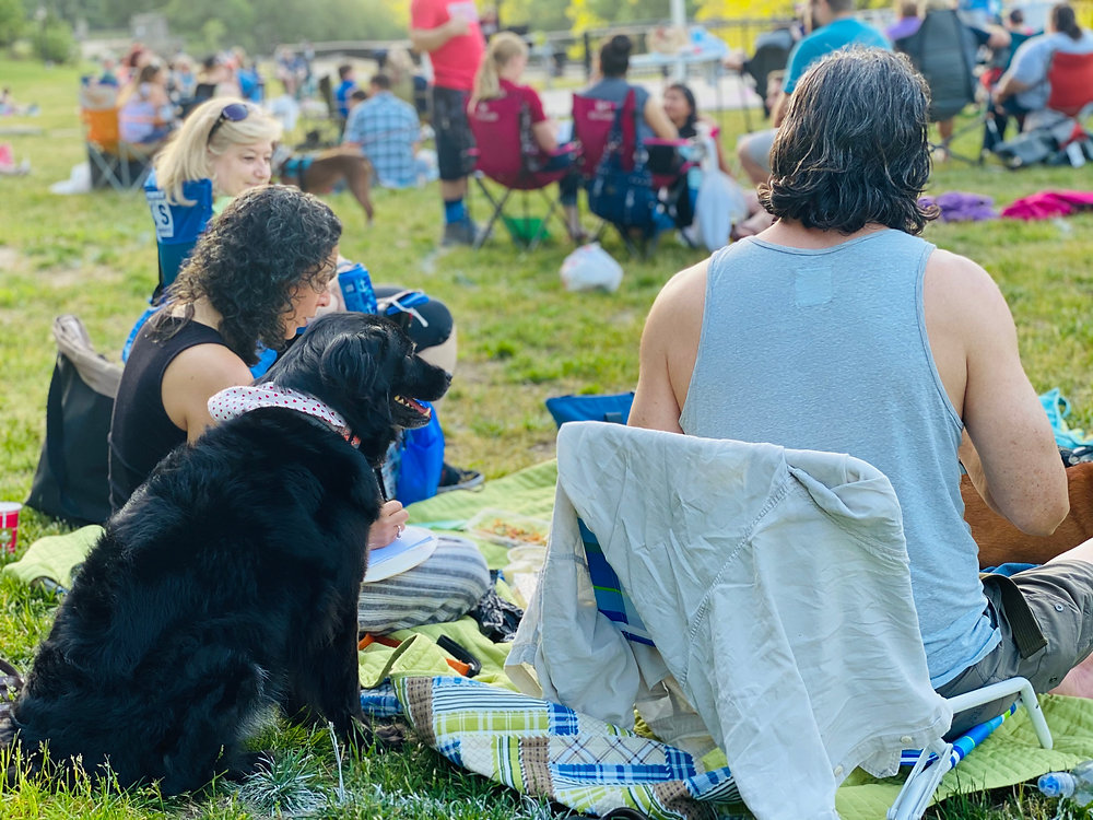 The Dog Days of Summer