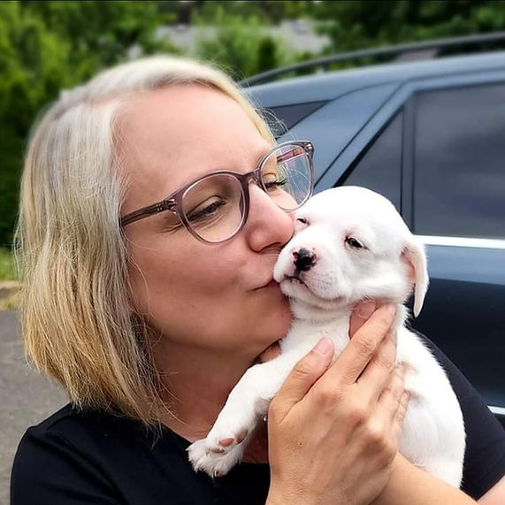 About | Darby and Gracy Dogs