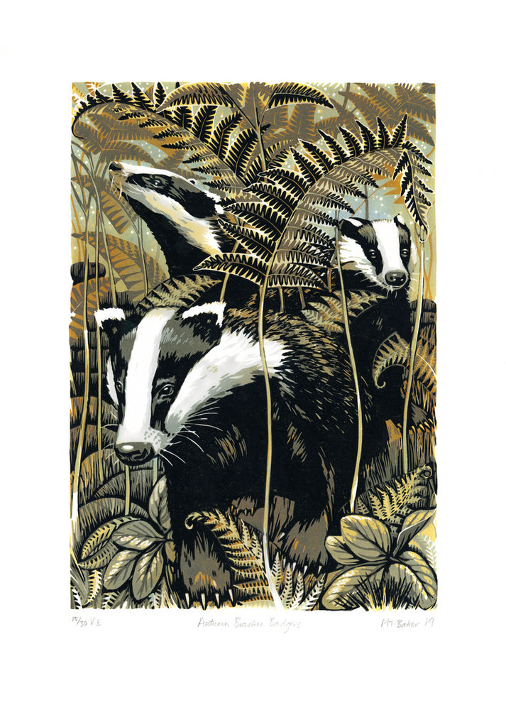 Autumn Bracken Badgers