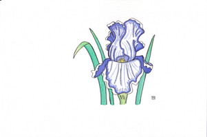 Kate Rice Art | Nature Artist