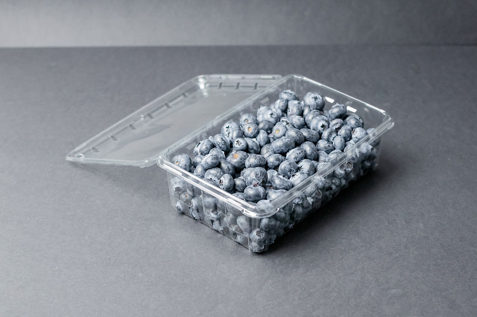 Clamshell 18 ounces Blueberry (7x5) | Agriempack