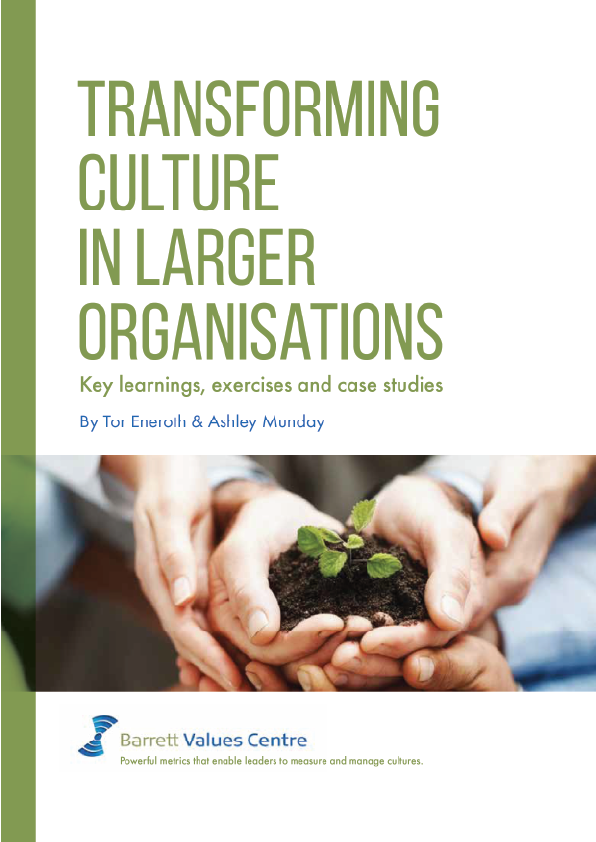 Transforming Culture in Larger Organisations | Publications ...
