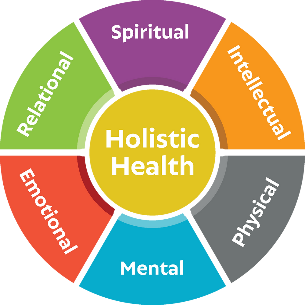 What is holistic health?