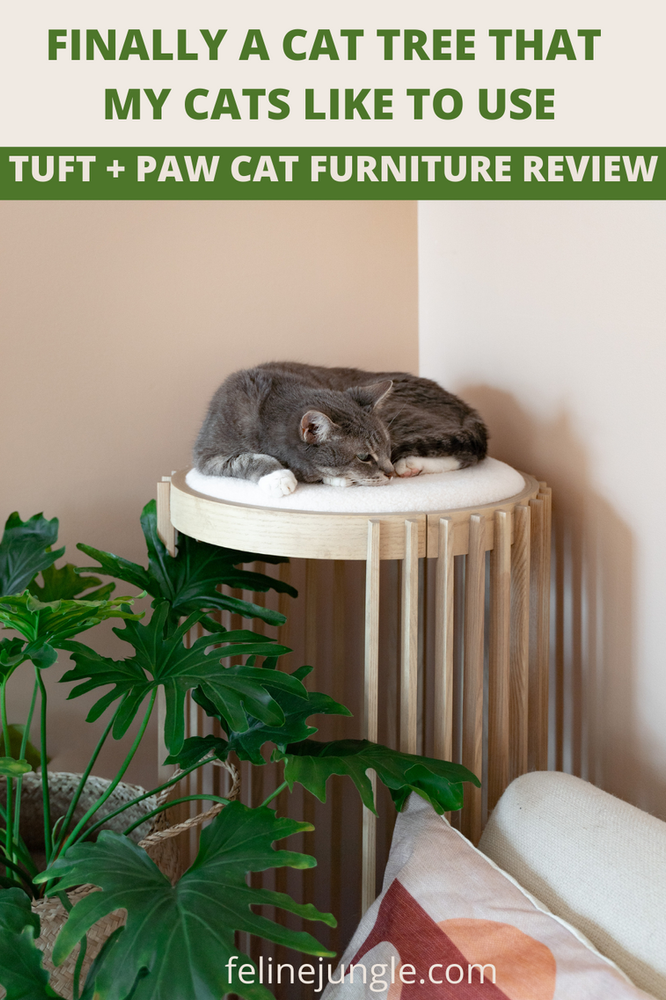 Tuft + Paw Cat Tree Review (We love it)
