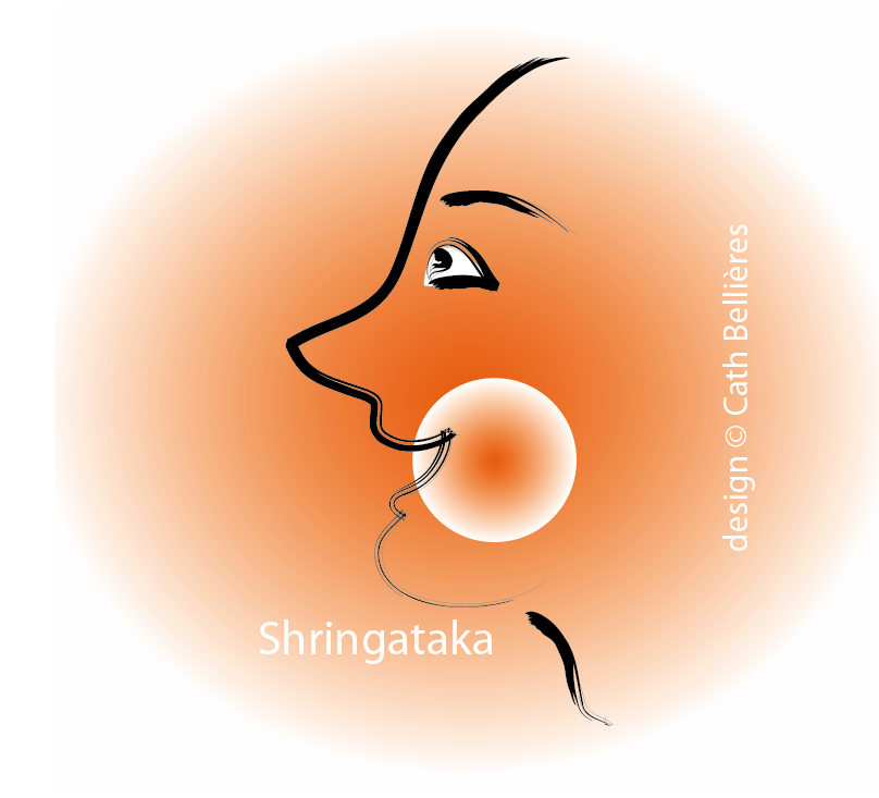 SHRINGATAKA : LE CROISEMENT DES ROUTES, LE SOMMET...