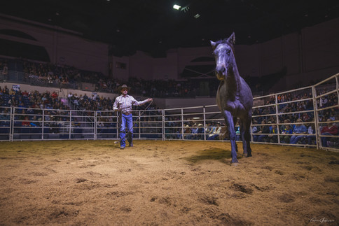 GALLERY | Forum River Center