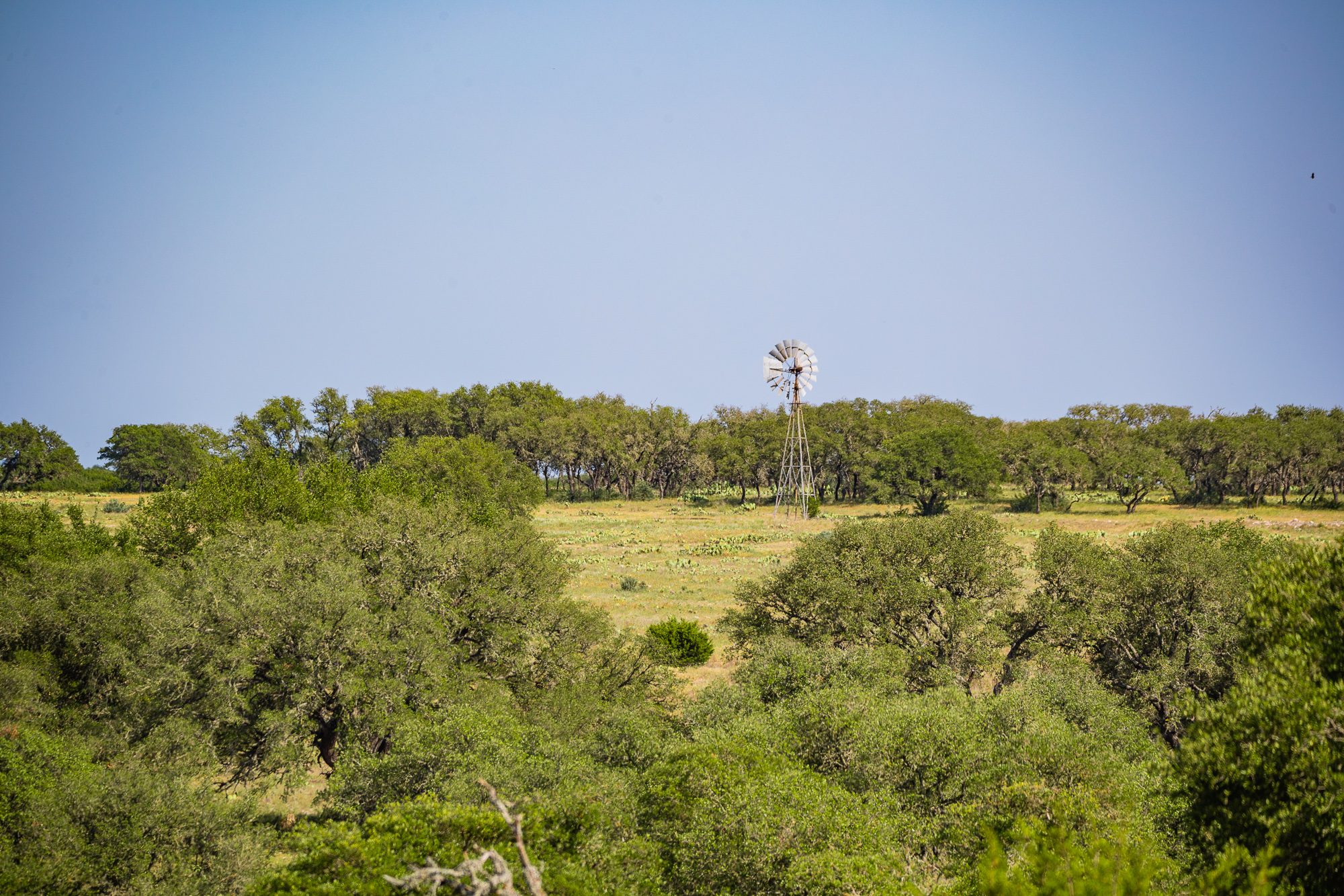 Apache Ranch | For Sale | Mountain Home, TX