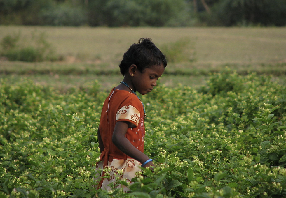 A Short Soft Look at Child Labour