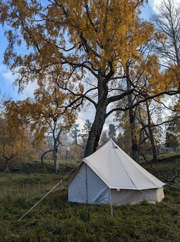 Wilderness Tent | Wild Braemar