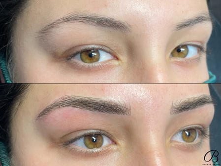 Brow Gallery | Bladed Brows Microblading | Shelby Township
