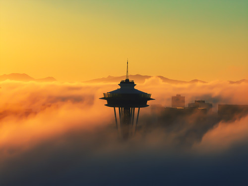 Seattle's Silent Embrace | Frederick Collection