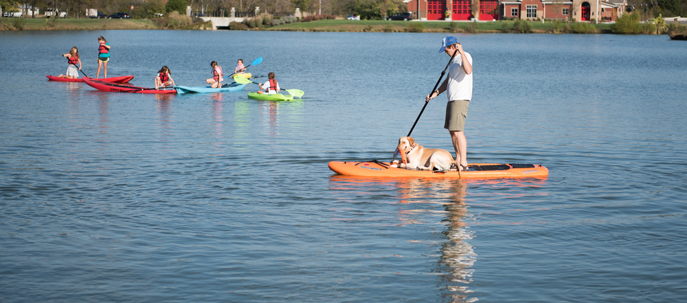 Top 5 Fun Ideas For Team Building