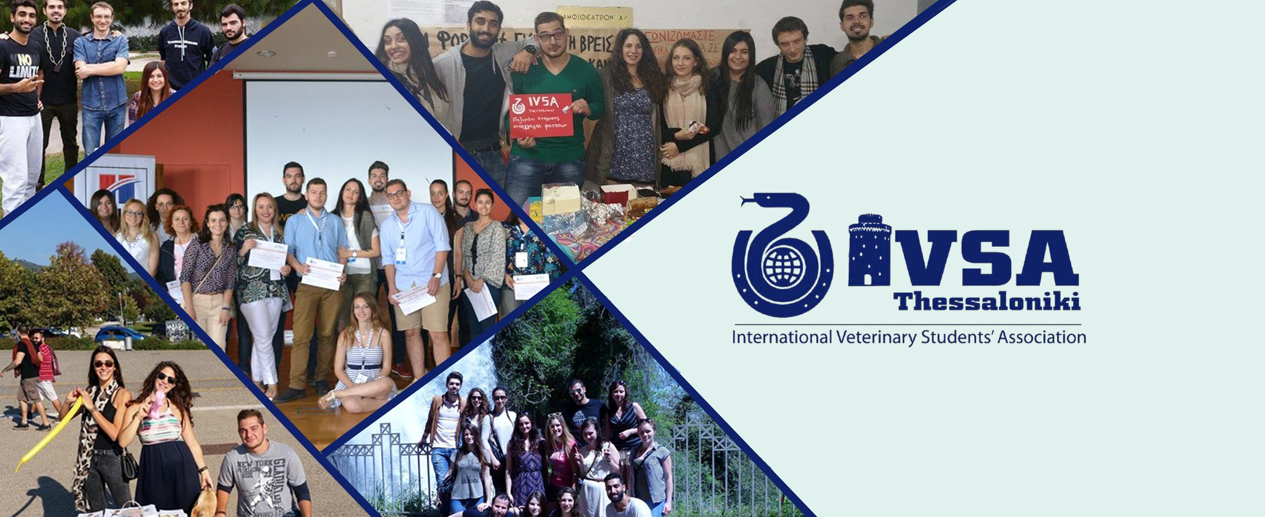 Few words for our Vet school | IVSA Thessaloniki