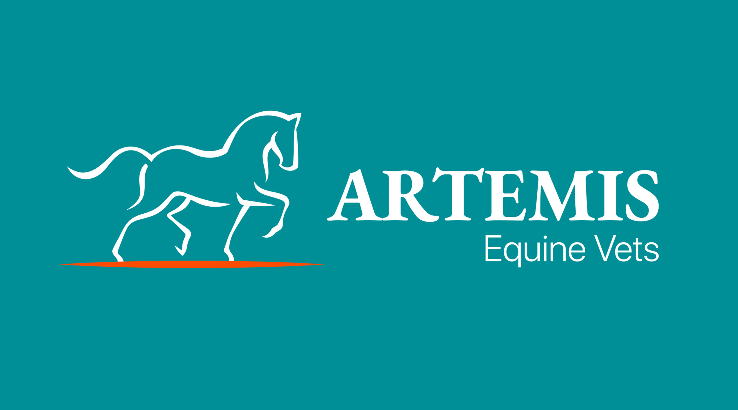 Top 10 Services | Artemis Equine Vets